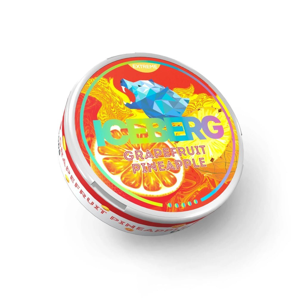 Iceberg Snus Pouches Pack of 5 | £9.49 Only | 25+ Flavours